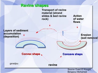3 d simulation for the ravine sediment accumulation | ODP | Geology ...