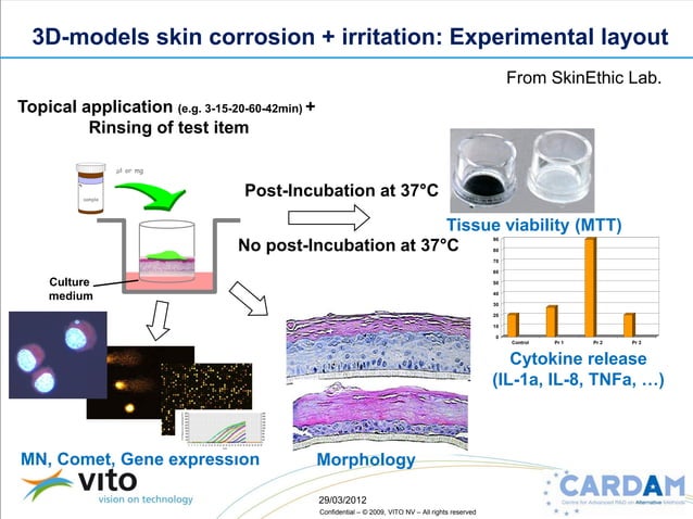 Overview of 3D-human skin reconstructed models for irritation and ...
