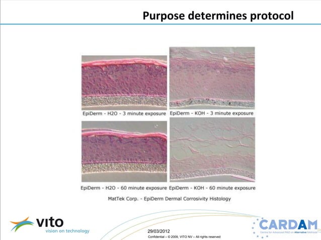 Overview of 3D-human skin reconstructed models for irritation and ...