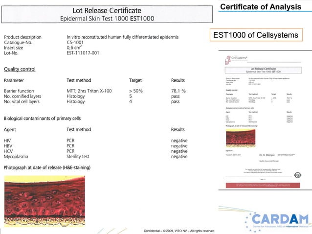 Overview of 3D-human skin reconstructed models for irritation and ...