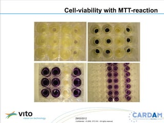 Overview of 3D-human skin reconstructed models for irritation and ...