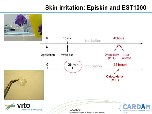 Overview of 3D-human skin reconstructed models for irritation and ...