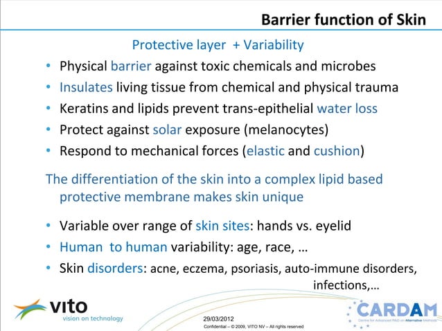 Overview of 3D-human skin reconstructed models for irritation and ...
