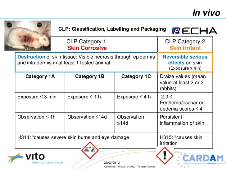 Overview of 3D-human skin reconstructed models for irritation and cor…