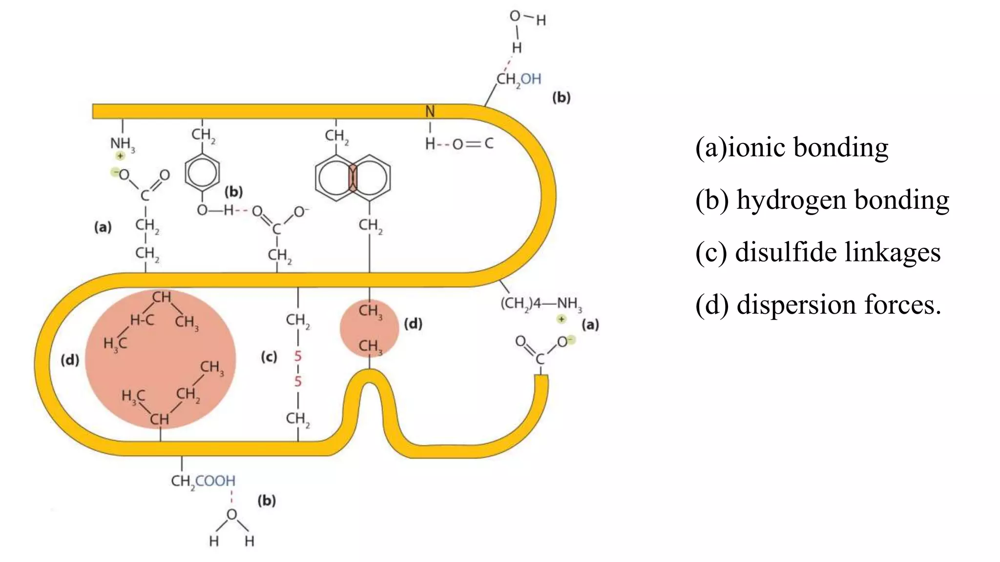 3d_structure_compare.pptx