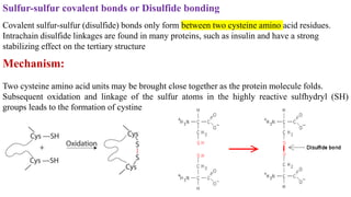 3d_structure_compare.pptx