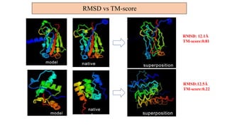 3d_structure_compare.pptx