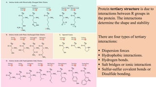3d_structure_compare.pptx