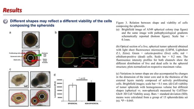 3D tumor spheroid models for in vitro therapeutic screening: a ...