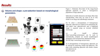3D tumor spheroid models for in vitro therapeutic screening: a ...