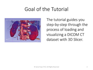 3DVisualizationDICOM_Slicer4.10_SoniaPujol.pdf