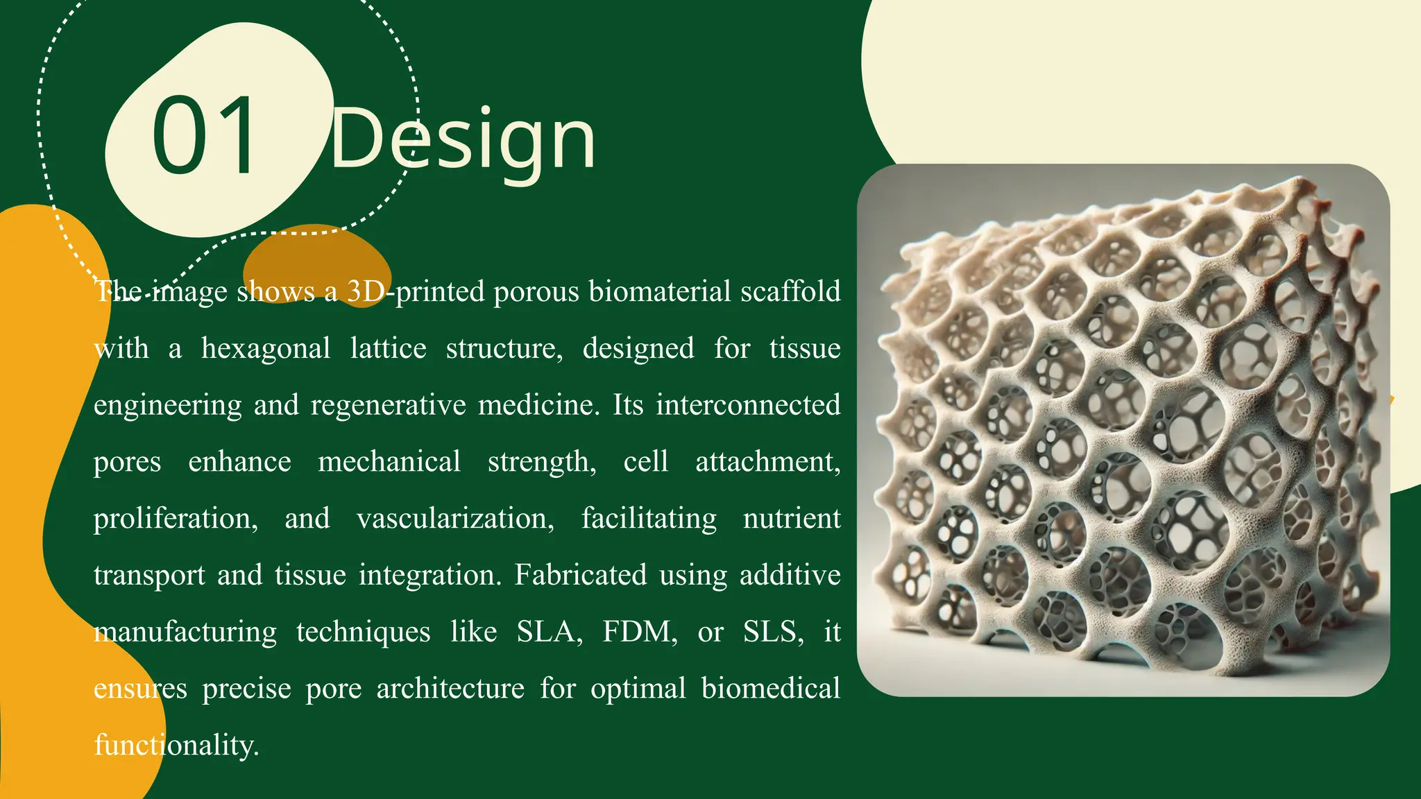 3D Visualization of porous scaffold.pptx