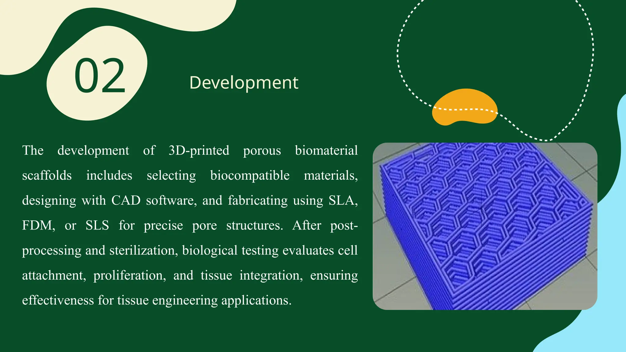 3D Visualization of porous scaffold.pptx