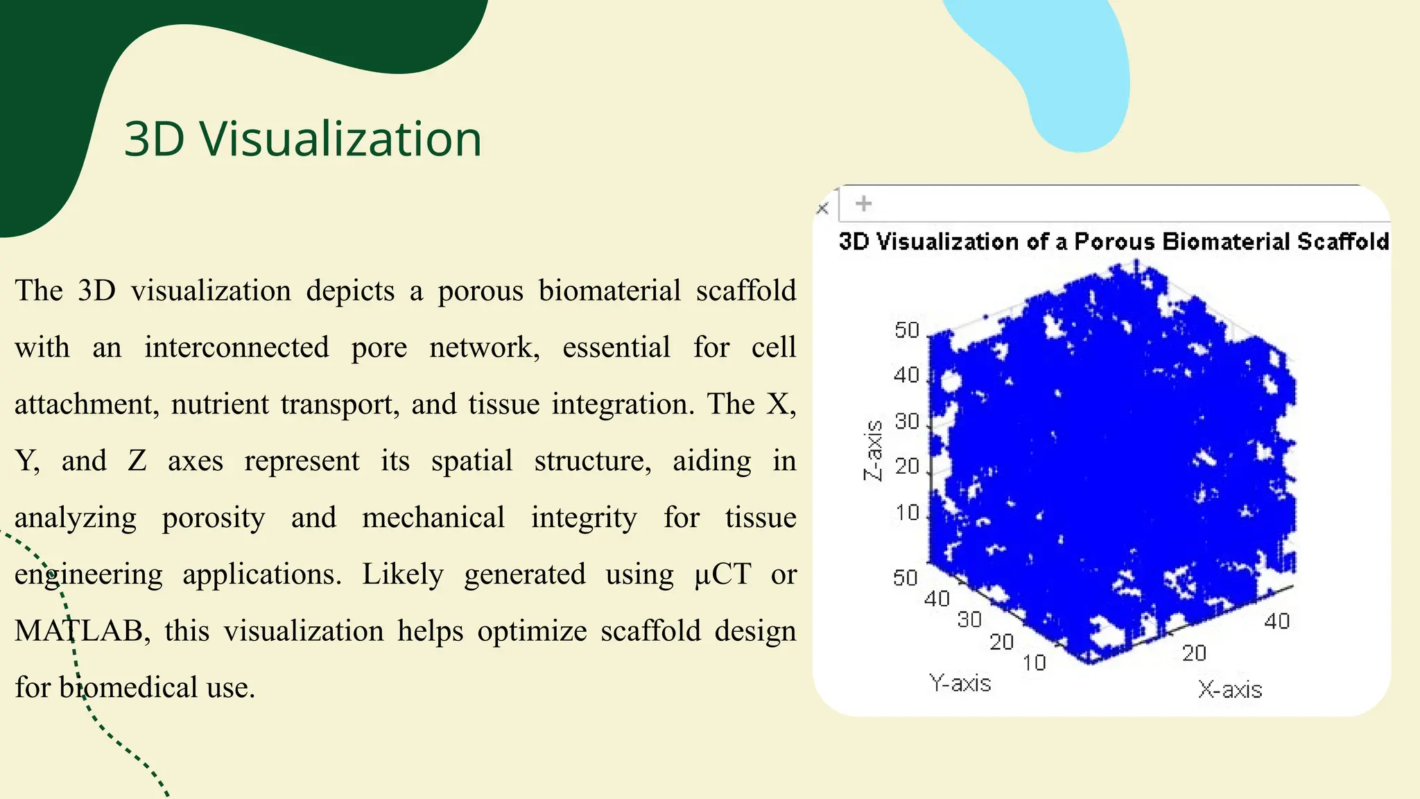 3D Visualization of porous scaffold.pptx