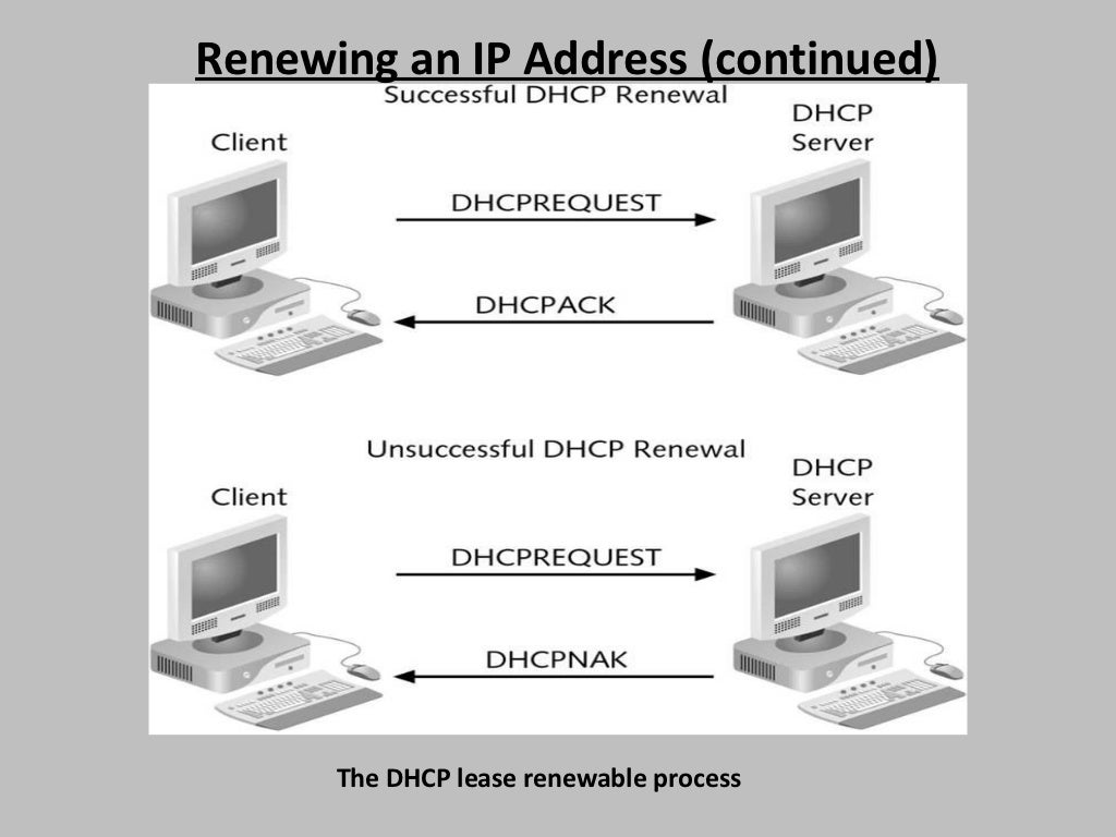 Dynamic Host Configuration Protocol