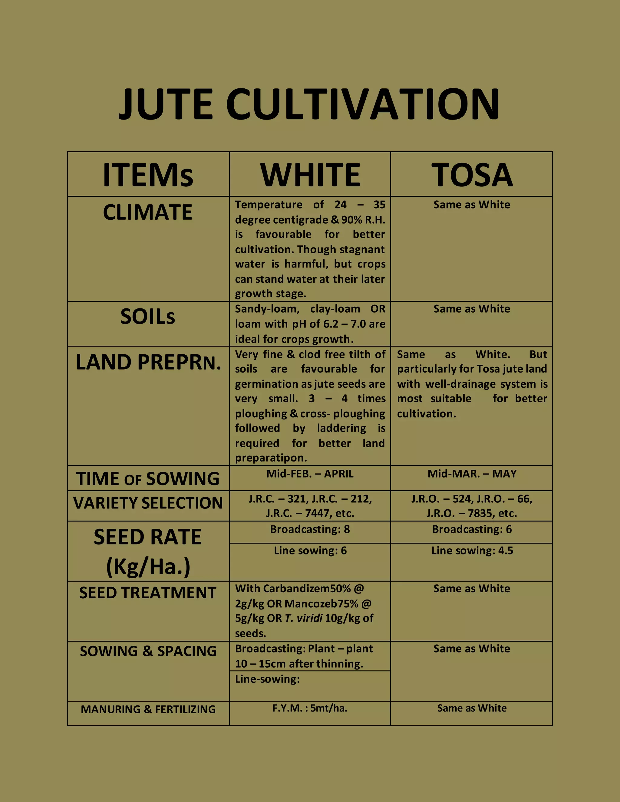 JUTE CULTIVATION | DOCX