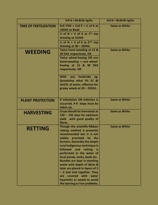 JUTE CULTIVATION | DOCX