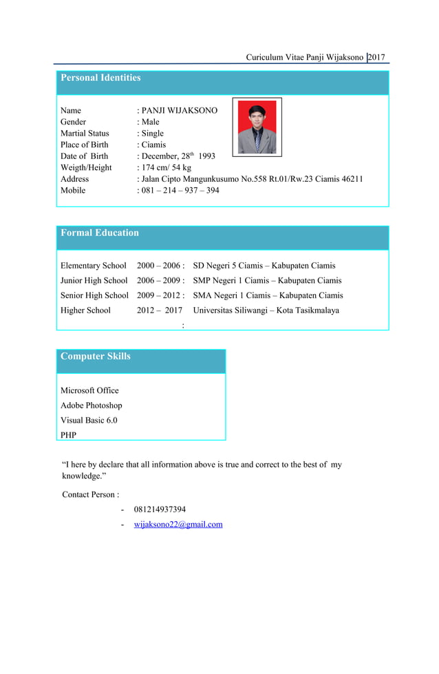 CURICULUM VITAE (4) | DOC