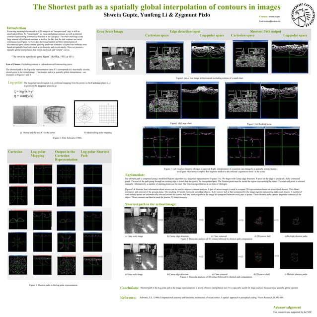 mathpsy2012 poster_Shweta_3(1) | PPT | 3-D Graphics | Computer Software and Applications