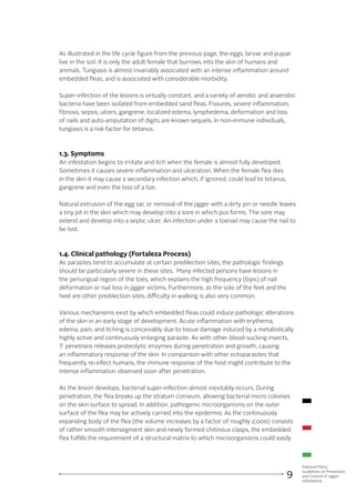 National Policy Guidelines for Prevention and Control | PDF