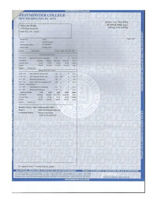 Final Transcripts - Copy | PDF