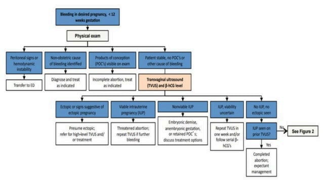 Abnormalities in first trimeter of OBS scan complete lecture | PDF
