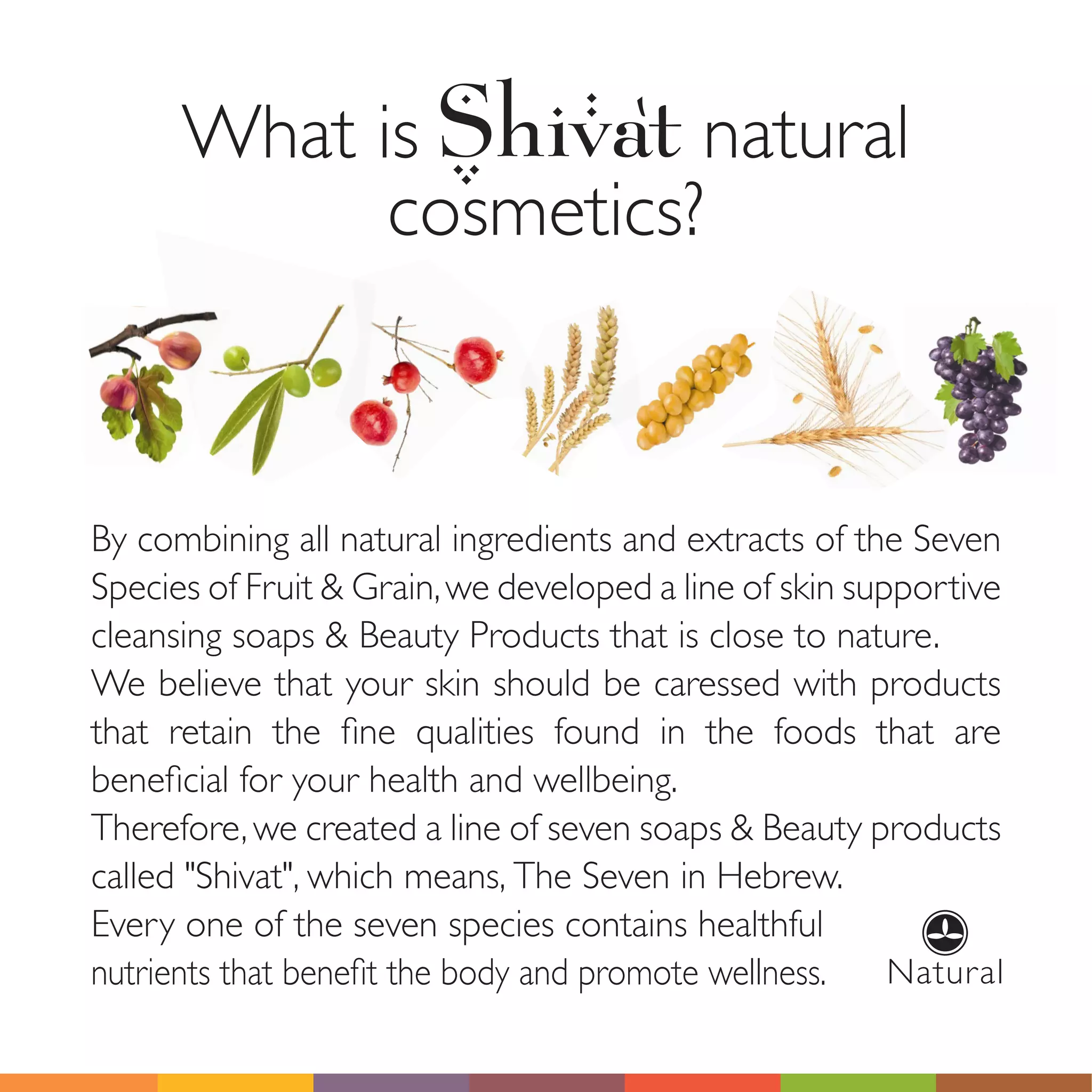 Shivat Brochure_Aidi | PDF