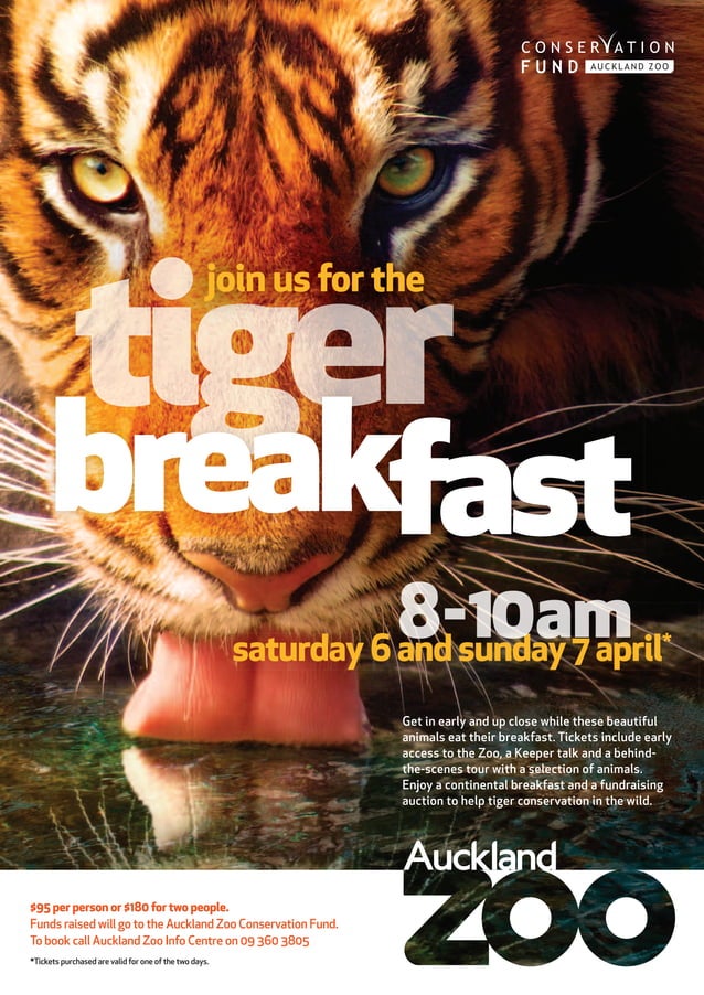 AZOO0087 Tiger Breakfast_Poster_LR | PDF