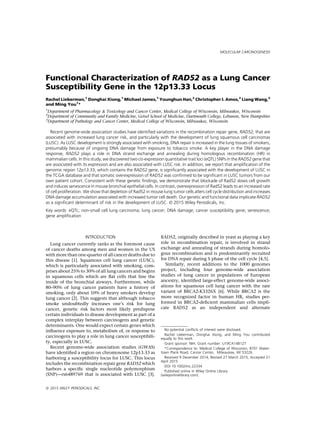 Rad52 Molecular Carcinogenesis | PDF