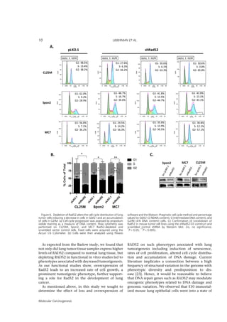 Rad52 Molecular Carcinogenesis | PDF