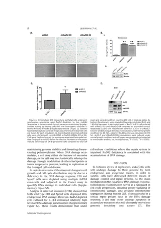 Rad52 Molecular Carcinogenesis | PDF