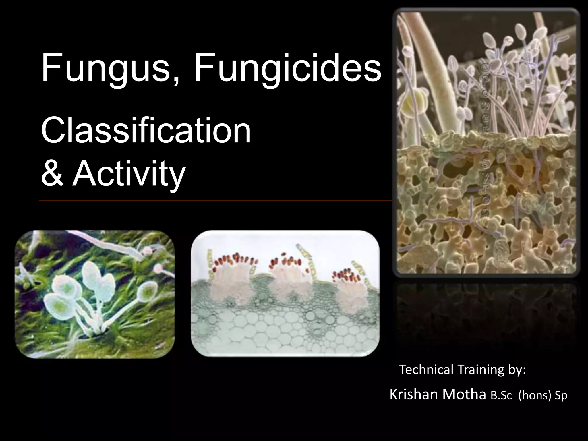 Technical training Fungus and Fungicides PPT-Lankem | PPTX