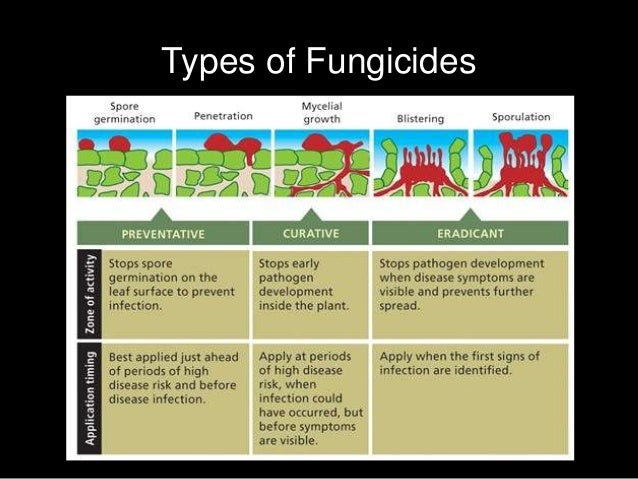 Technical training Fungus and Fungicides PPT-Lankem
