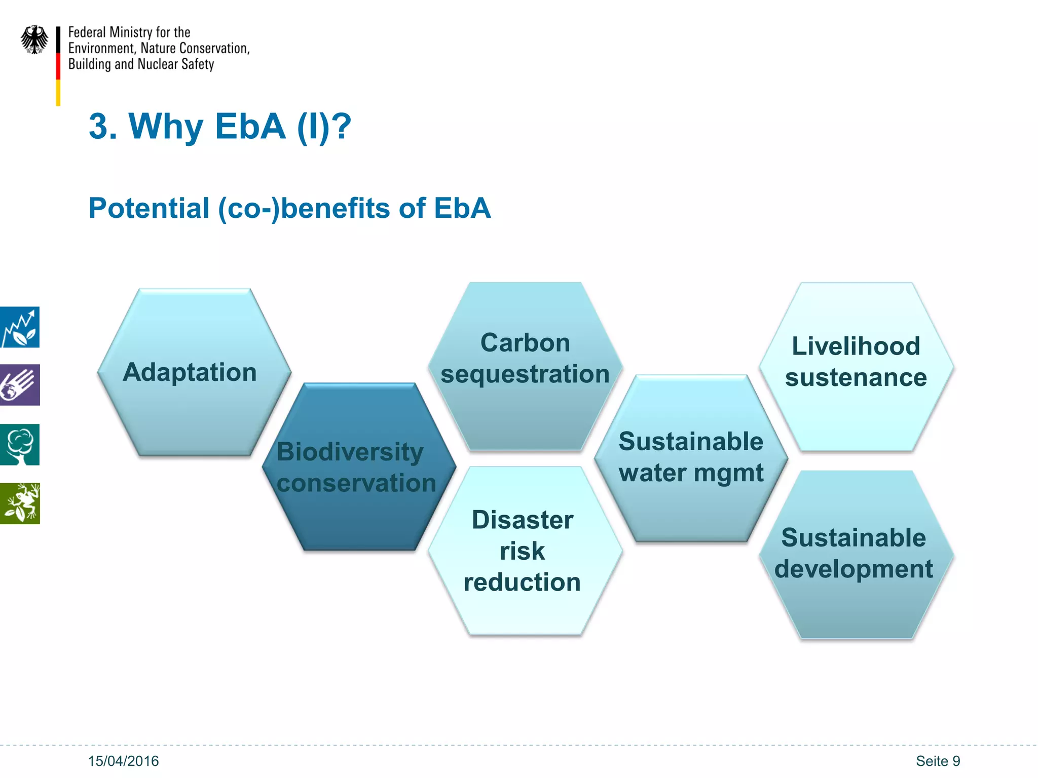 Ecosystem based Adaptation (EbA) in the International Climate ...