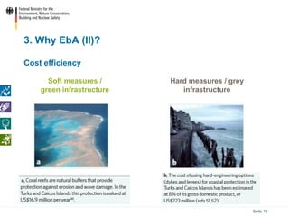 Ecosystem based Adaptation (EbA) in the International Climate ...