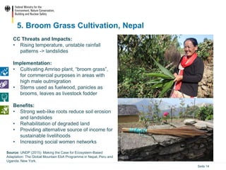 Ecosystem based Adaptation (EbA) in the International Climate ...