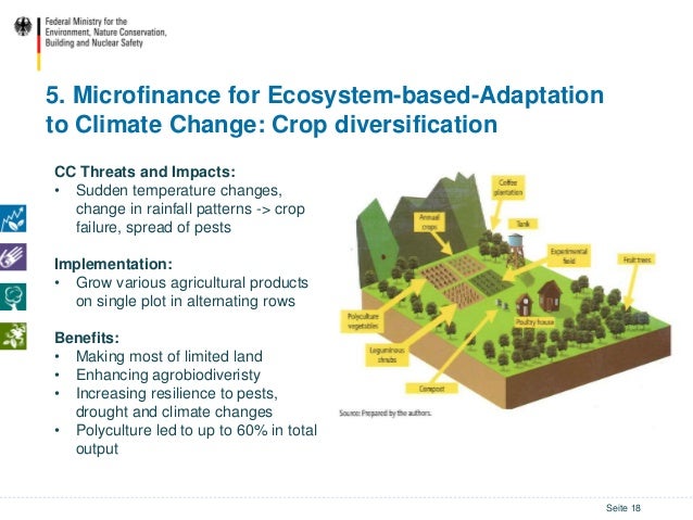 Ecosystem based Adaptation (EbA) in the International Climate Initiat…