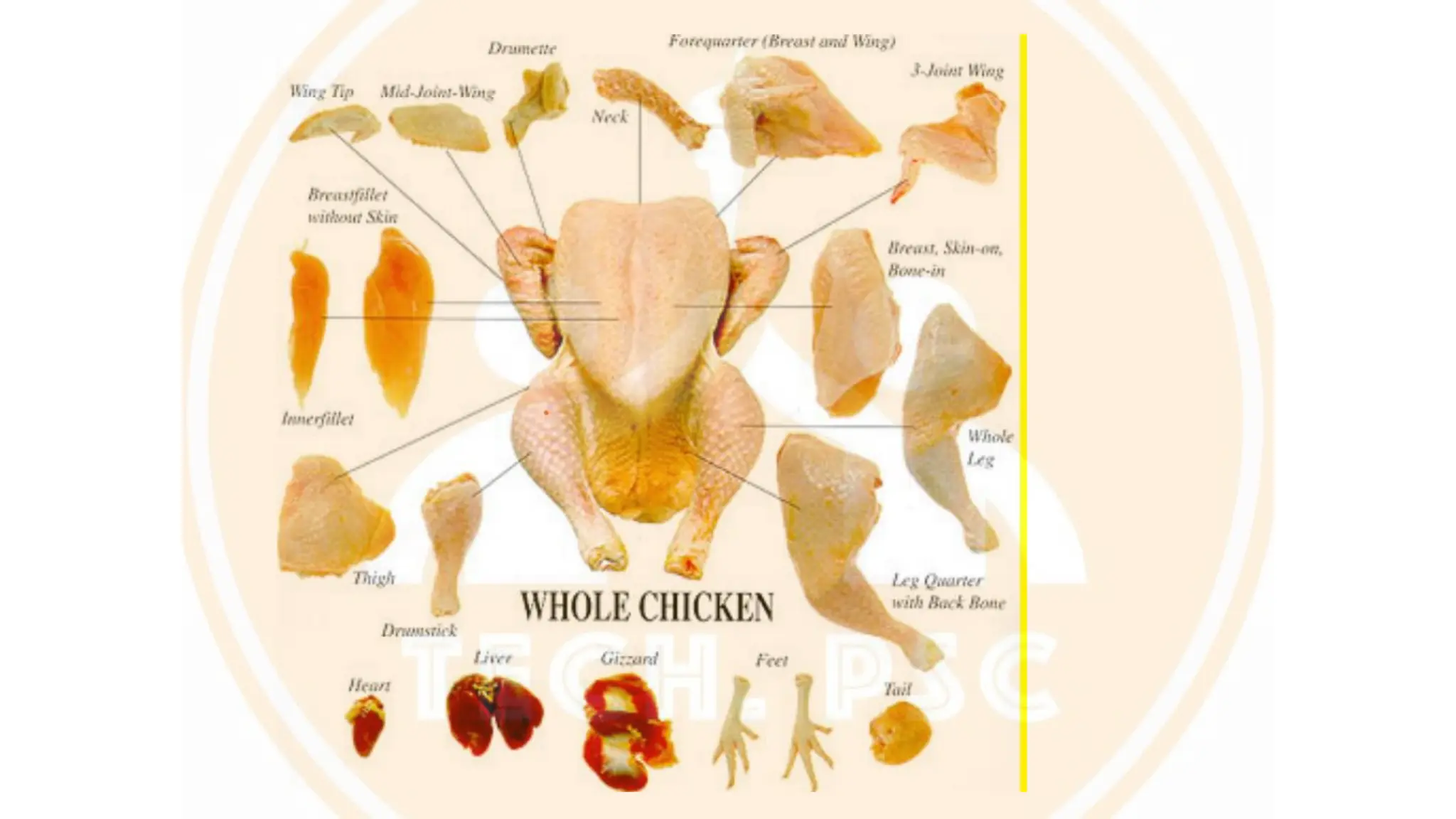 Evaluation and grading of characteristics including poultry | PPT