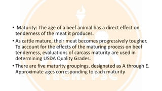 Evaluation and grading of characteristics including poultry | PPT