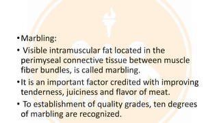 Evaluation and grading of characteristics including poultry | PDF