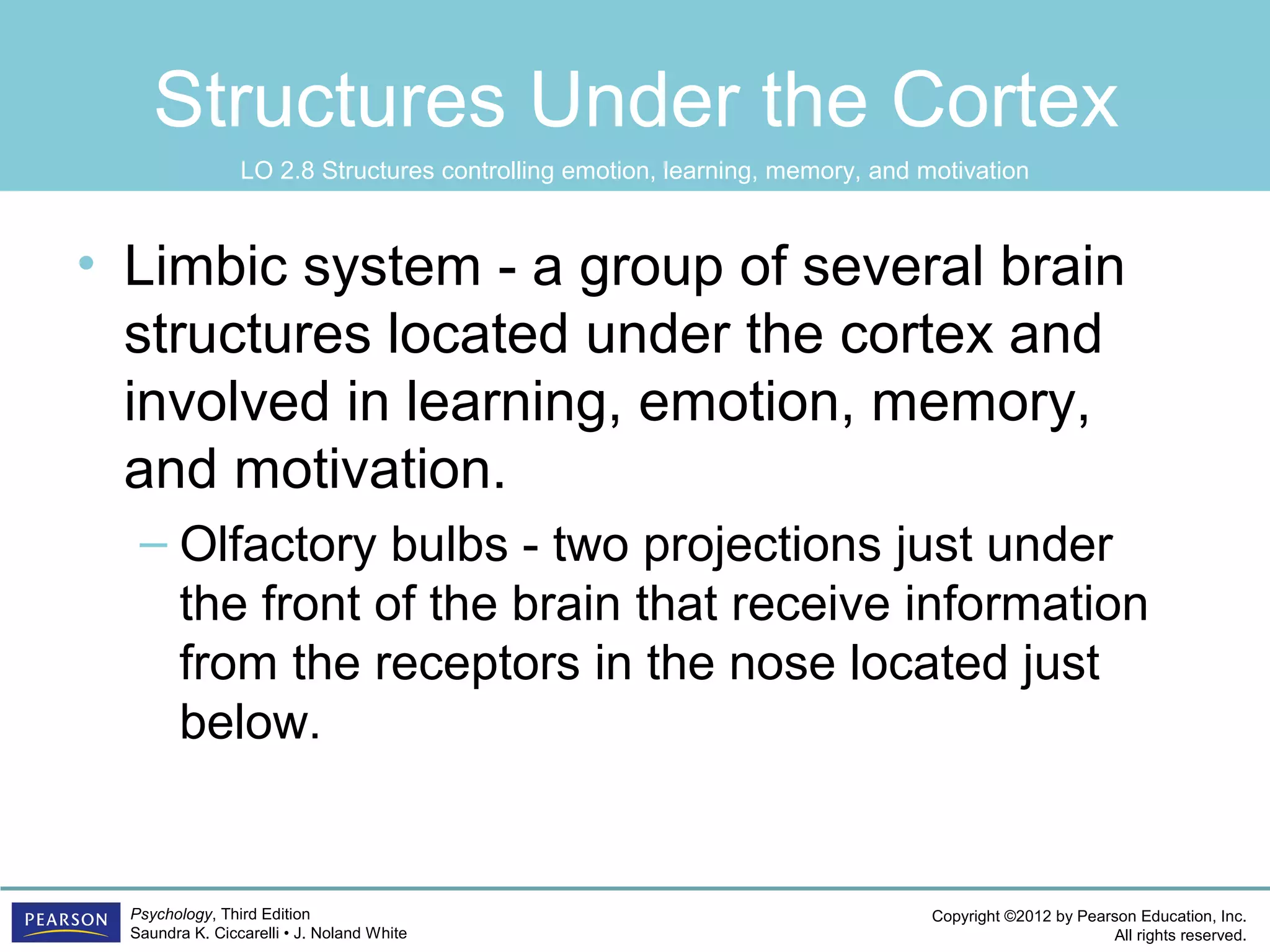 PSYC1101 Chapter 2 Powerpoint | PPT