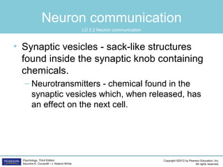 PSYC1101 Chapter 2 Powerpoint | PPT