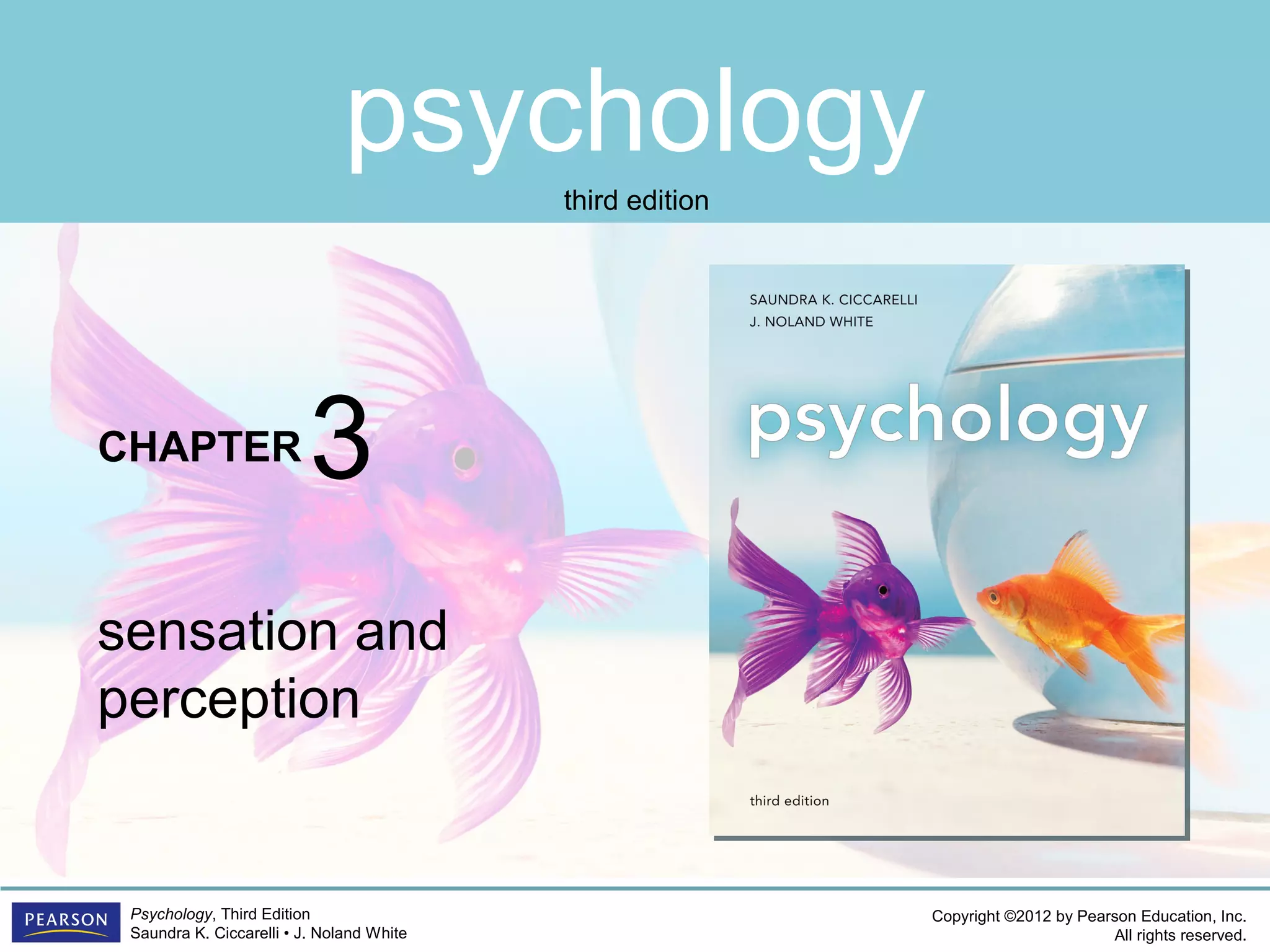 PSYC1101 Chapter 3 Powerpoint | PPT