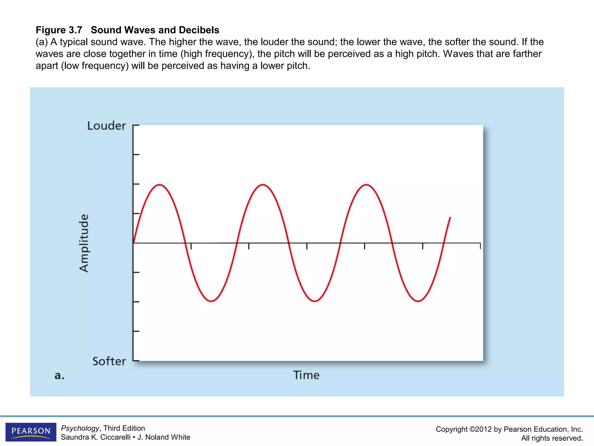 PSYC1101 Chapter 3 Powerpoint | PPT