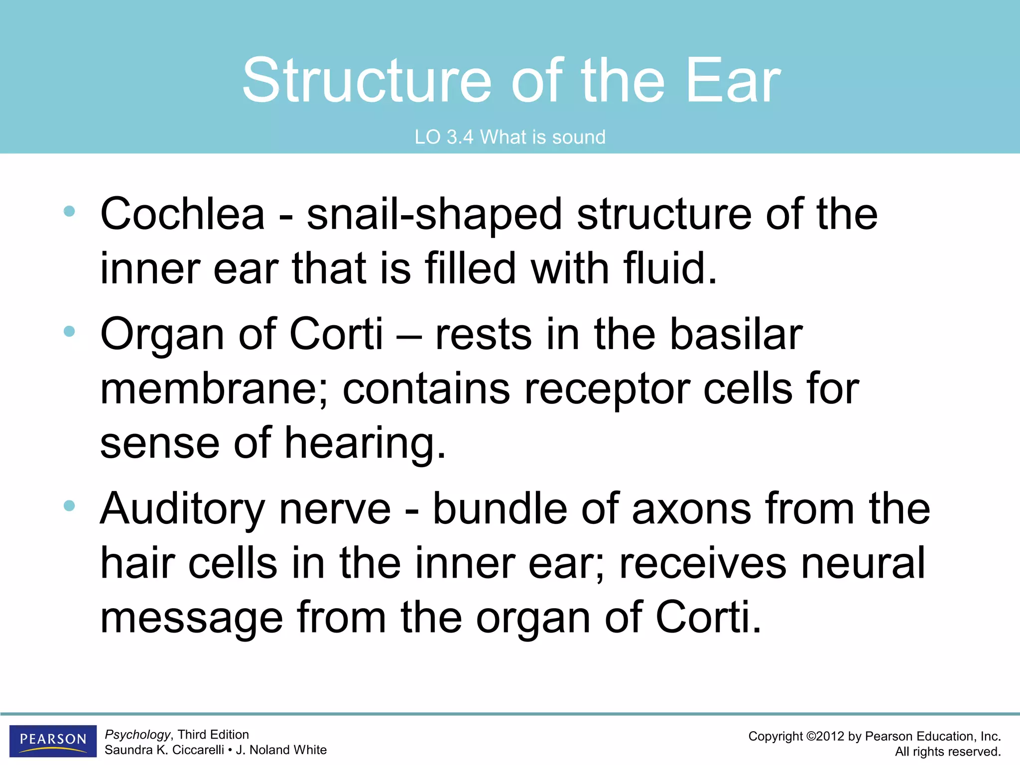 PSYC1101 Chapter 3 Powerpoint | PPT