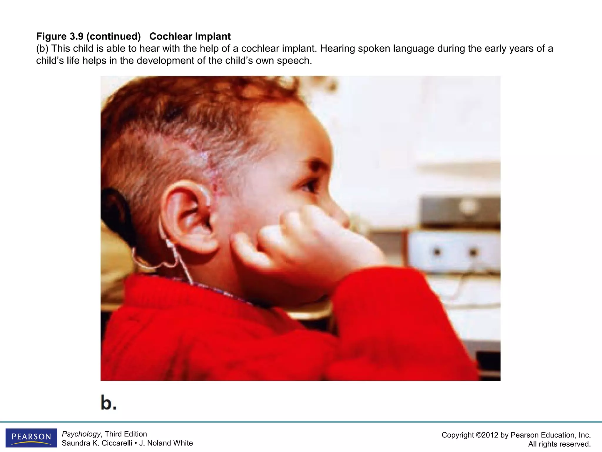 PSYC1101 Chapter 3 Powerpoint | PPT