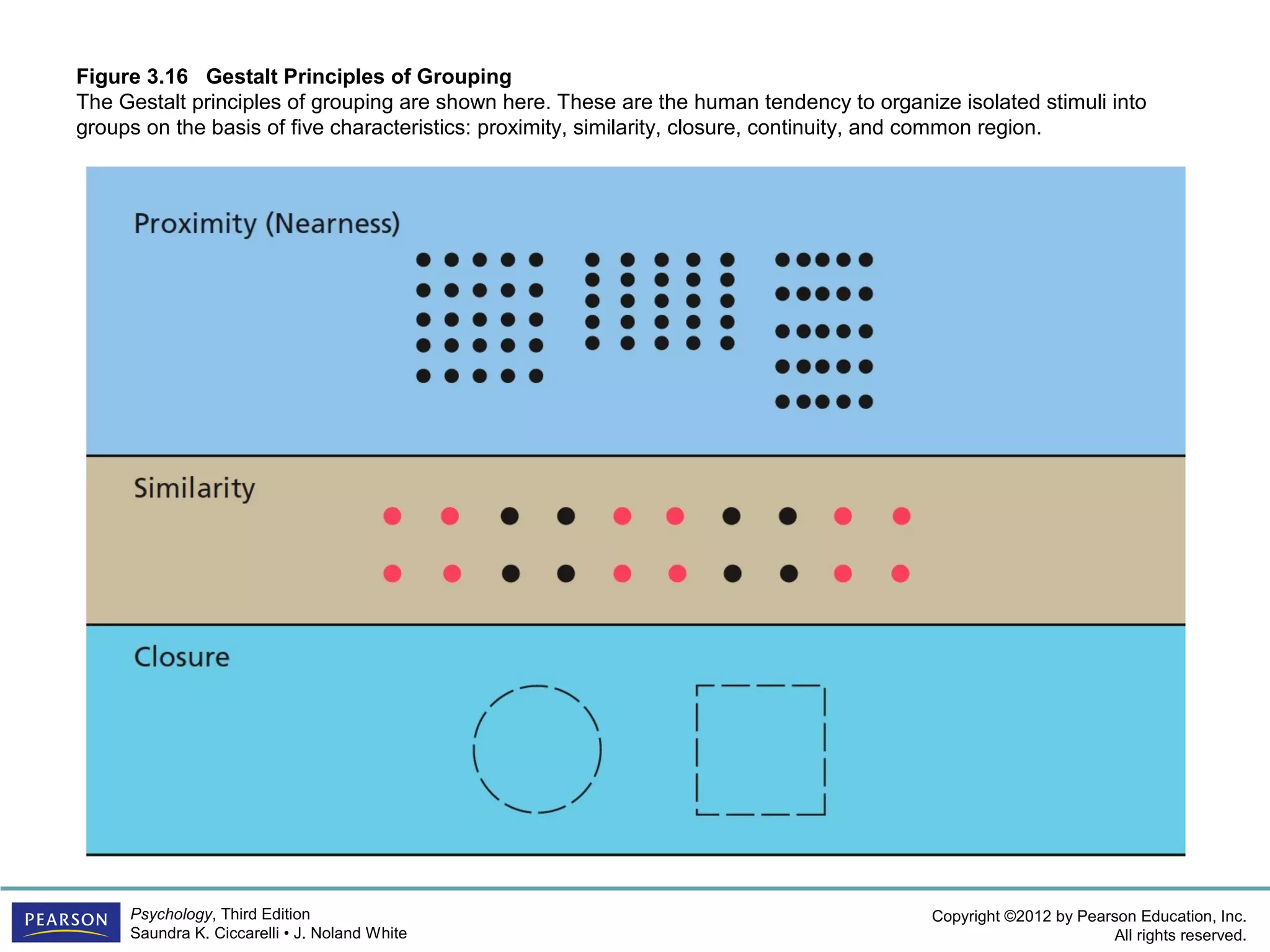 PSYC1101 Chapter 3 Powerpoint | PPT