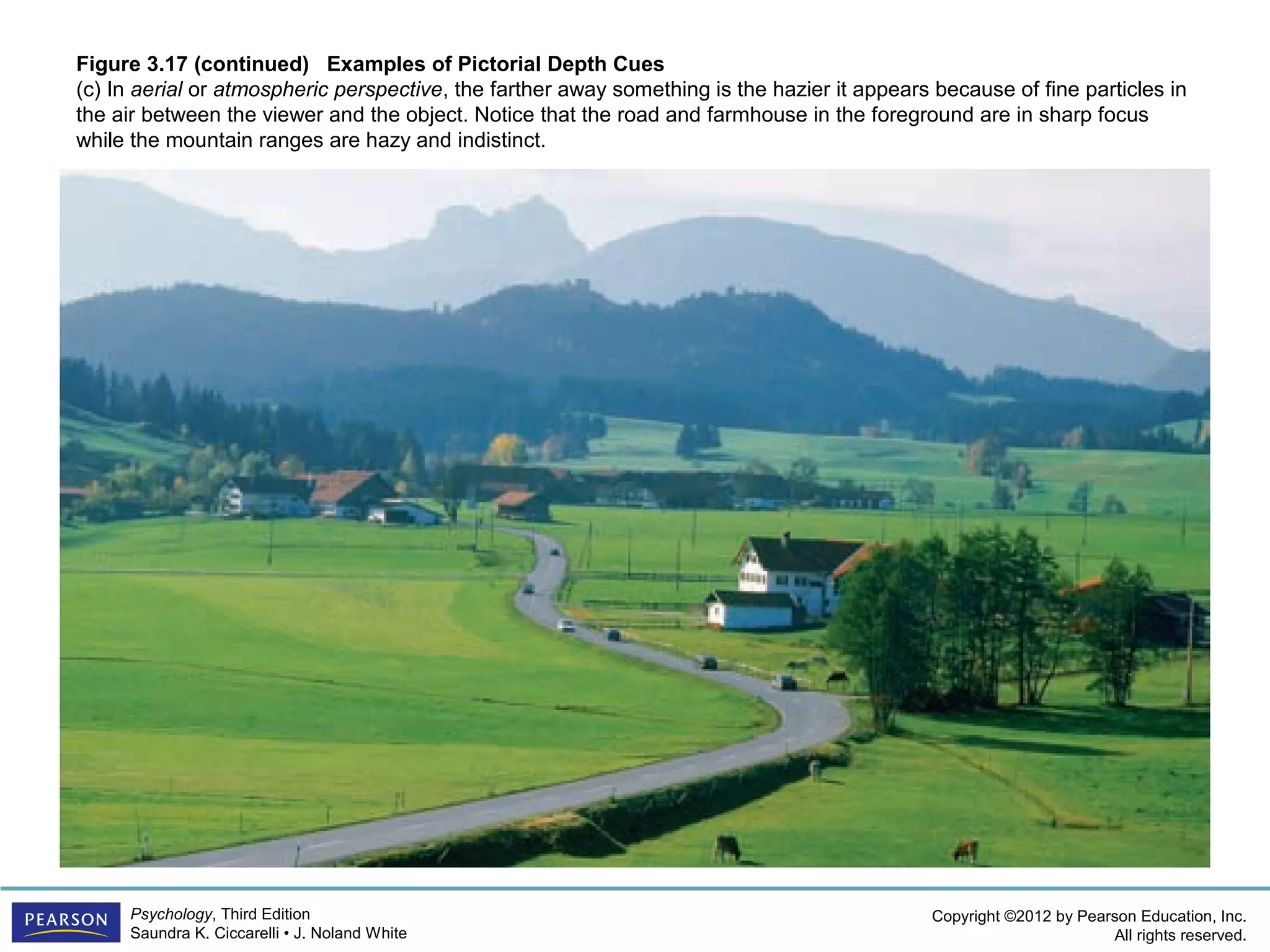 PSYC1101 Chapter 3 Powerpoint | PPT