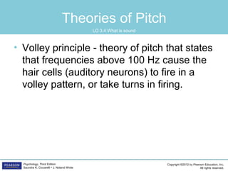 PSYC1101 Chapter 3 Powerpoint | PPT