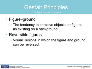 PSYC1101 Chapter 3 Powerpoint | PPT